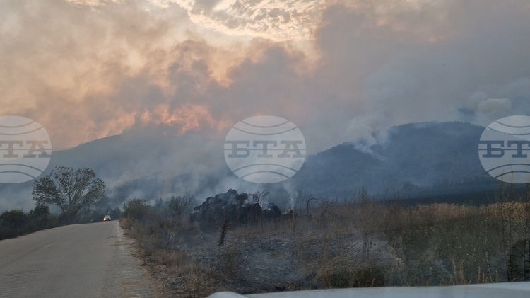 BTA :: Fire in Tran Area Destroys Almost Entire Village, Advances ...
